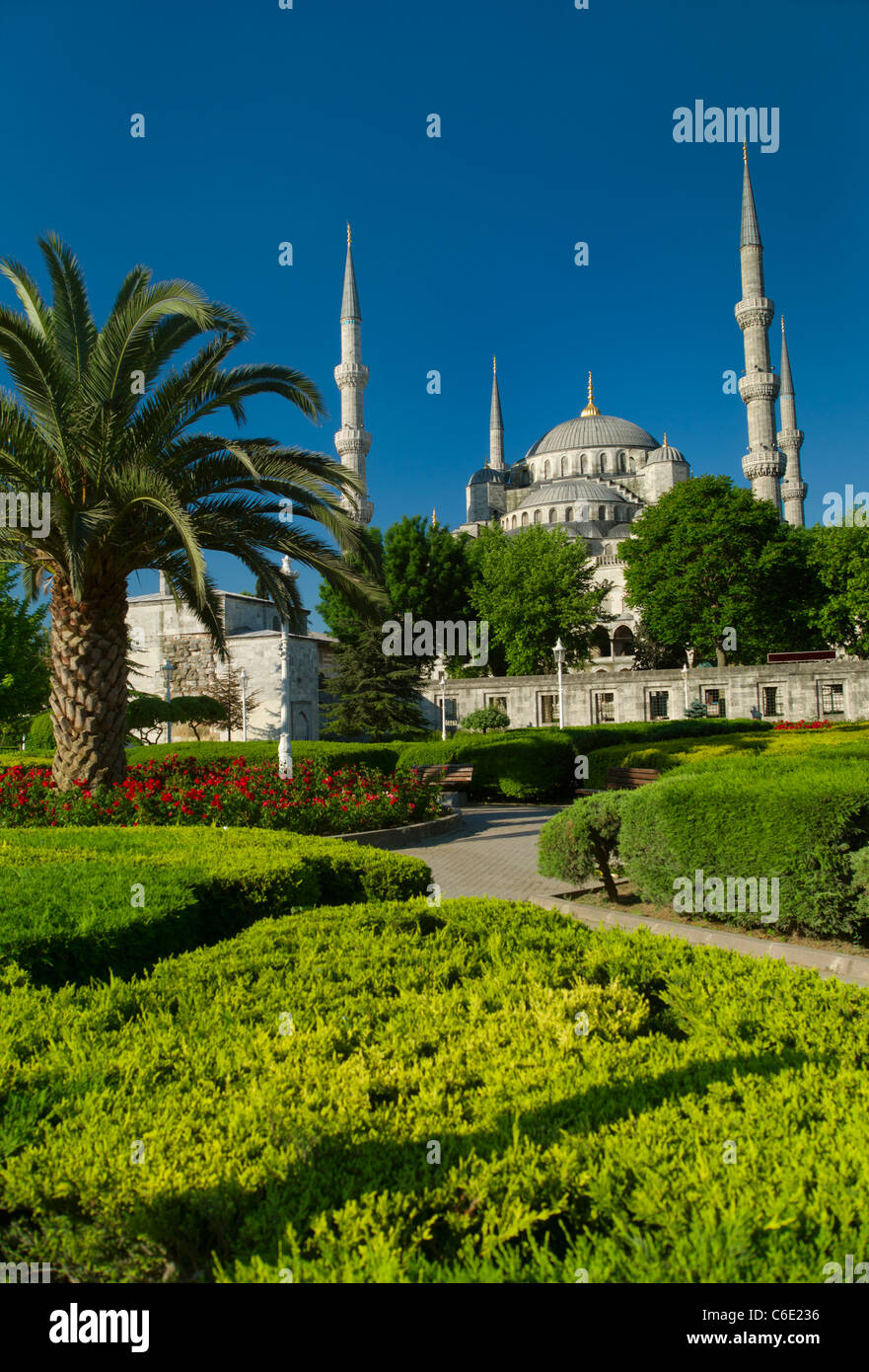 Turkey, Istanbul, Sultanahmet Mosque Stock Photo - Alamy
