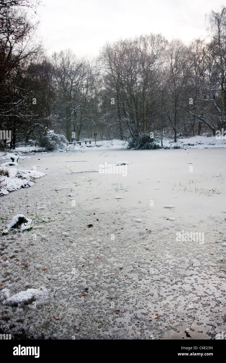 Epping forest winter hi-res stock photography and images - Alamy