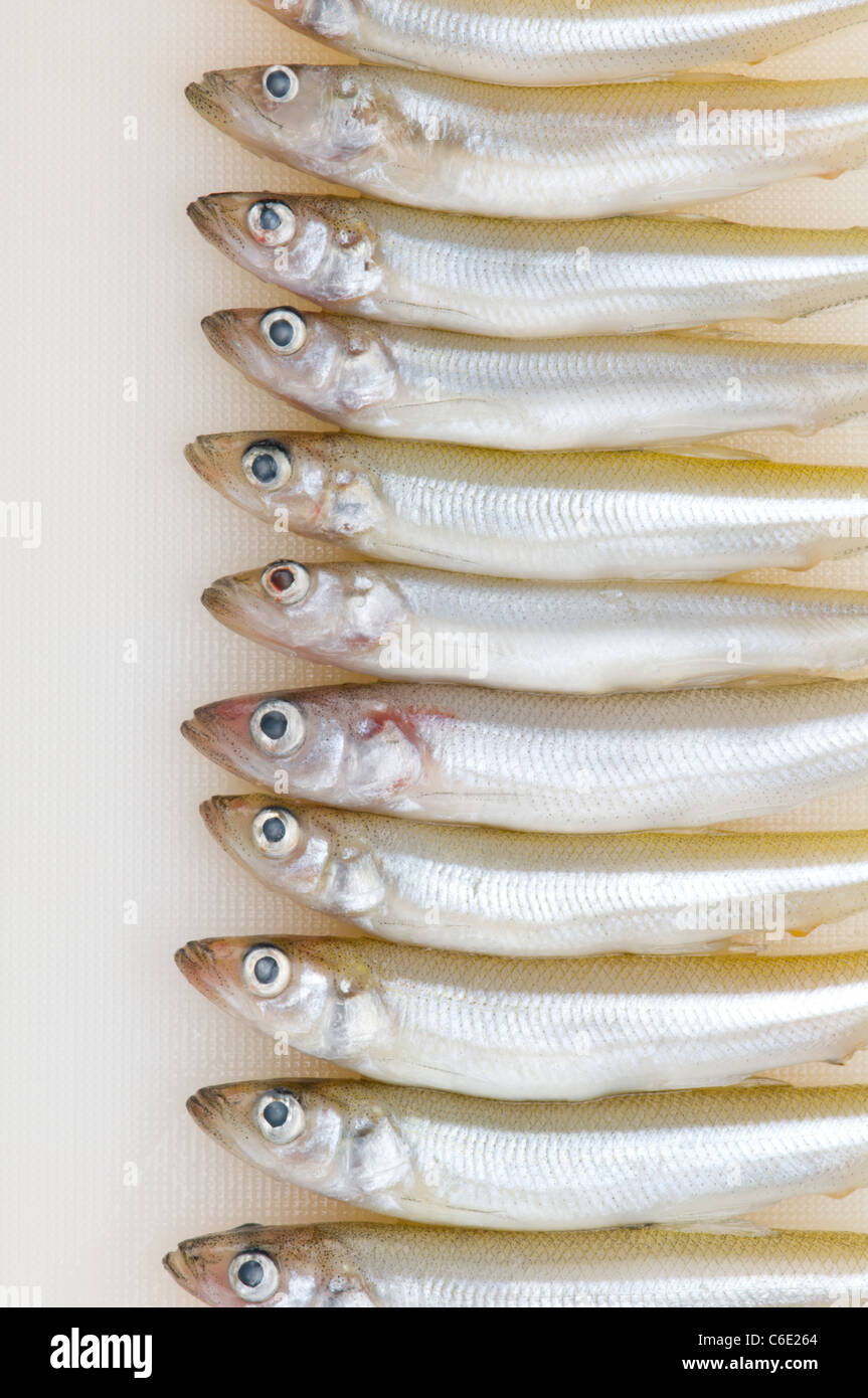 Row of smelt fish Stock Photo - Alamy