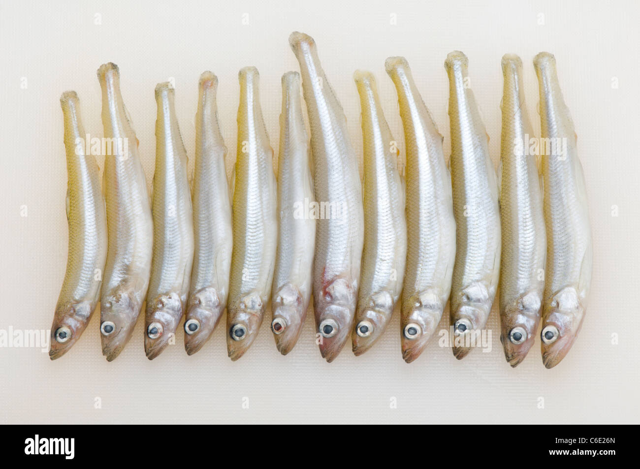 Row of smelt fish Stock Photo - Alamy