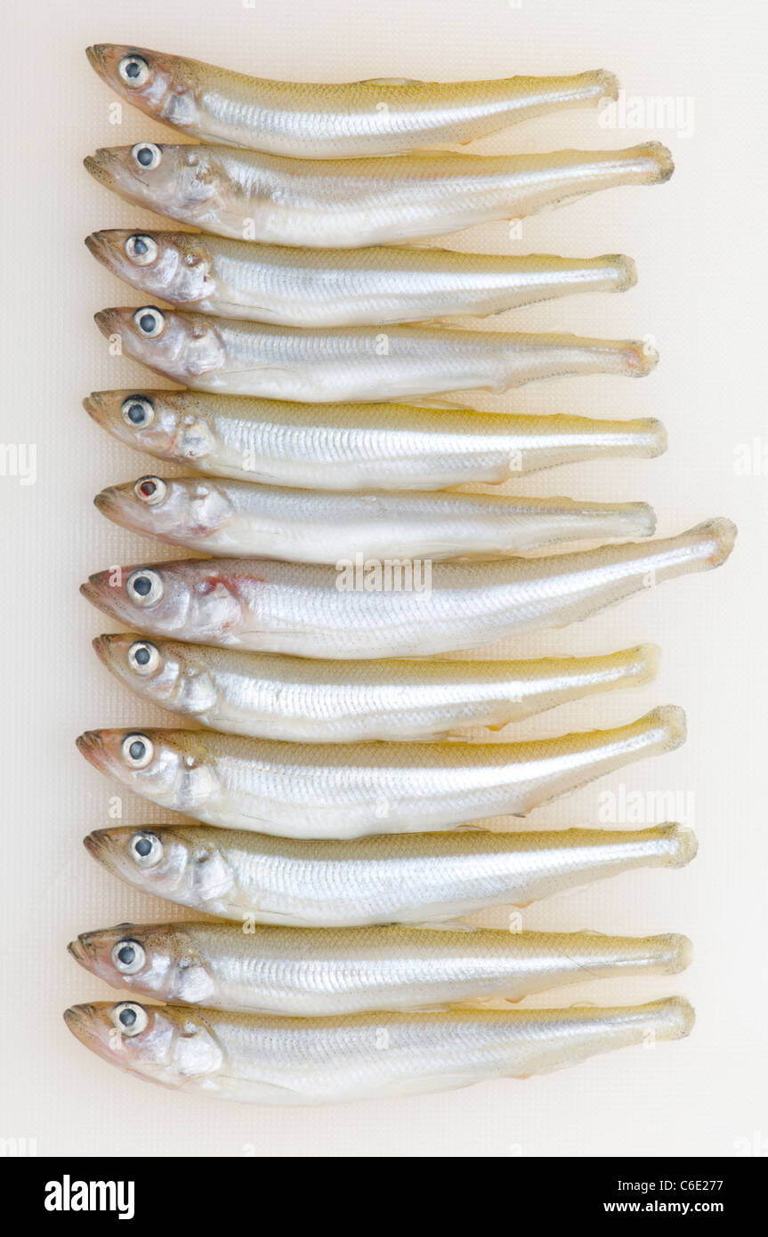 Row of smelt fish Stock Photo - Alamy