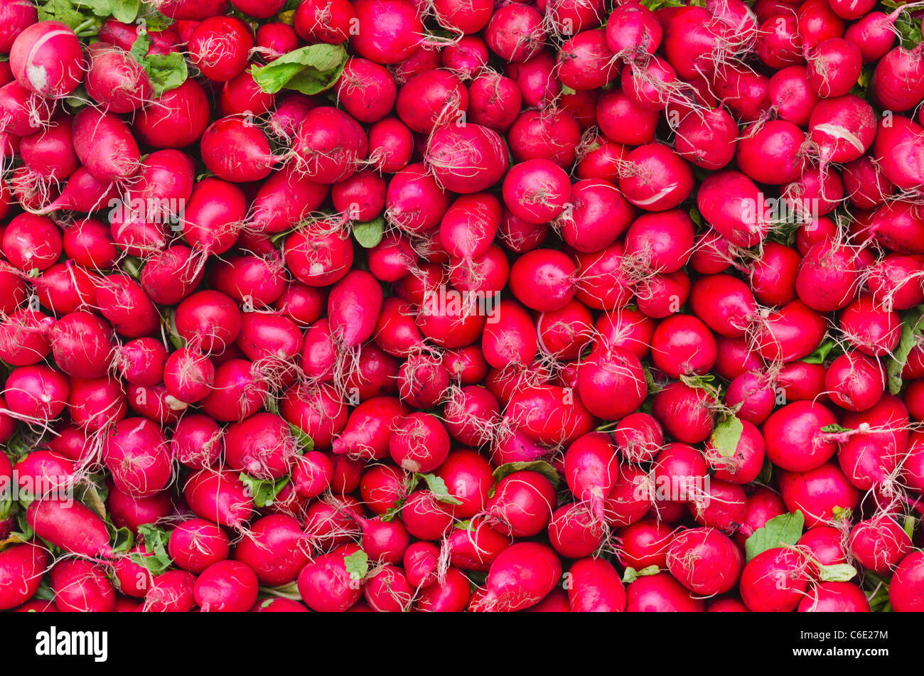Big radishes hi-res stock photography and images - Alamy