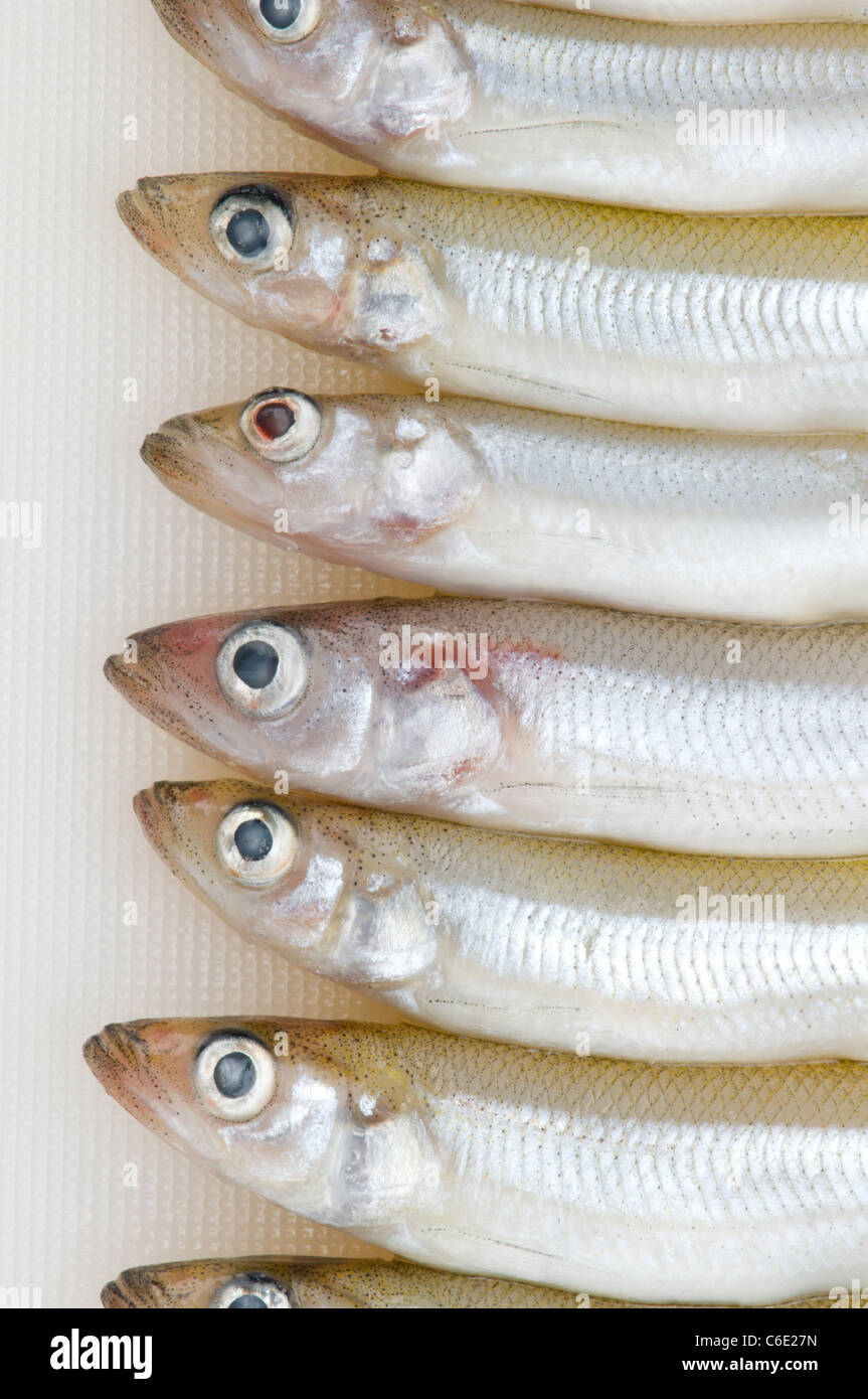 Row of smelt fish Stock Photo - Alamy