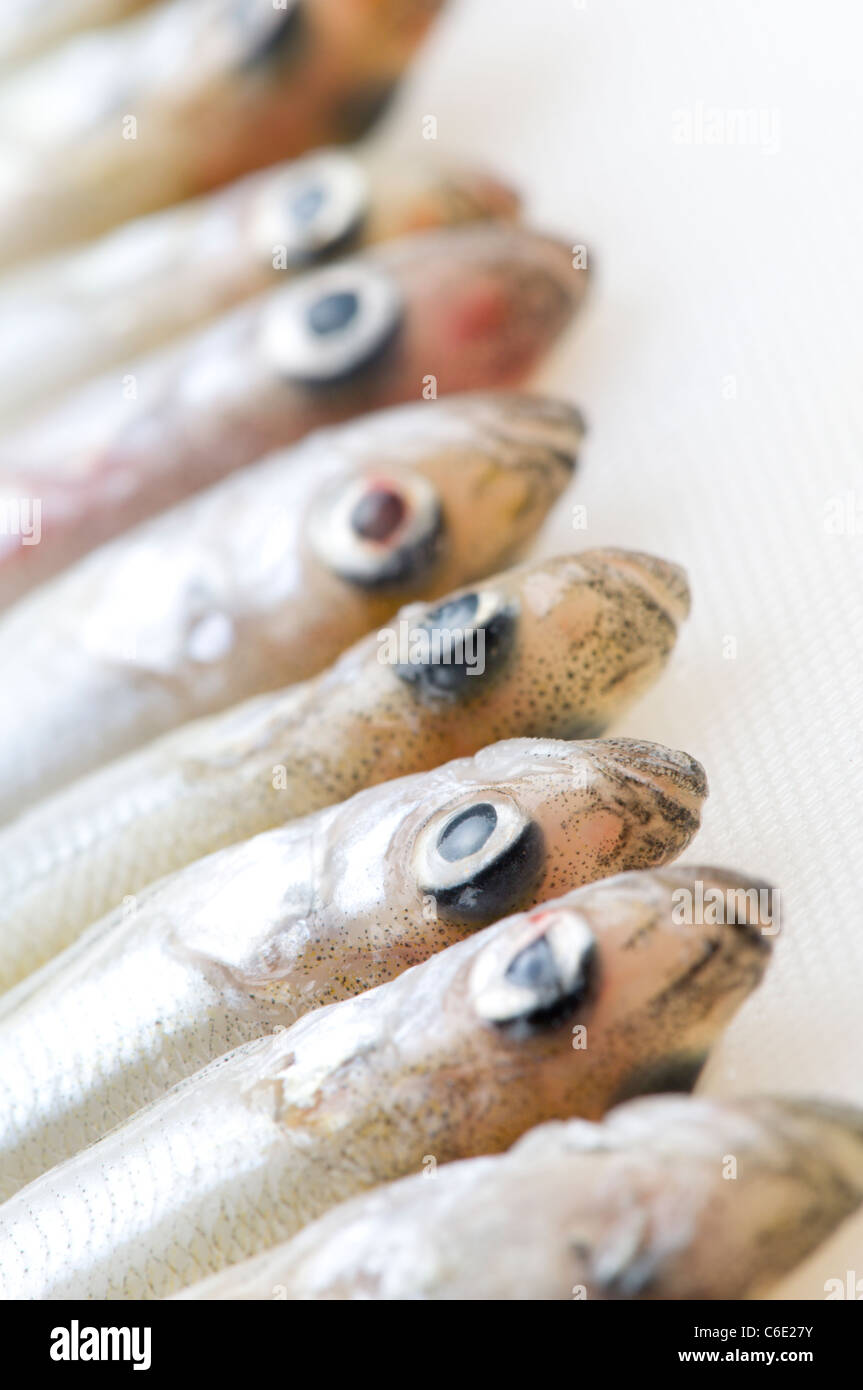 Smelts hi-res stock photography and images - Alamy