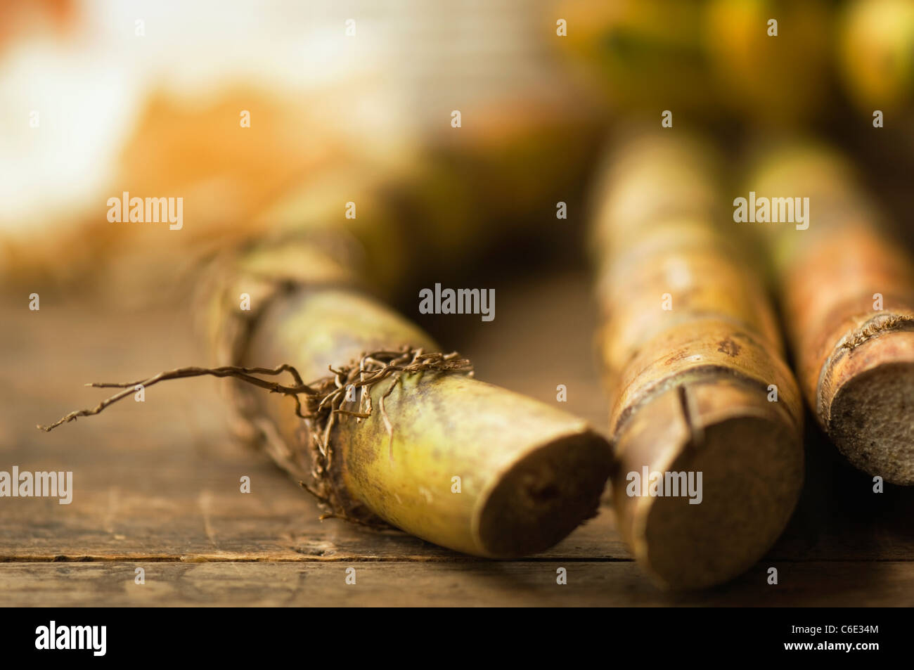 Cane stick hi-res stock photography and images - Alamy