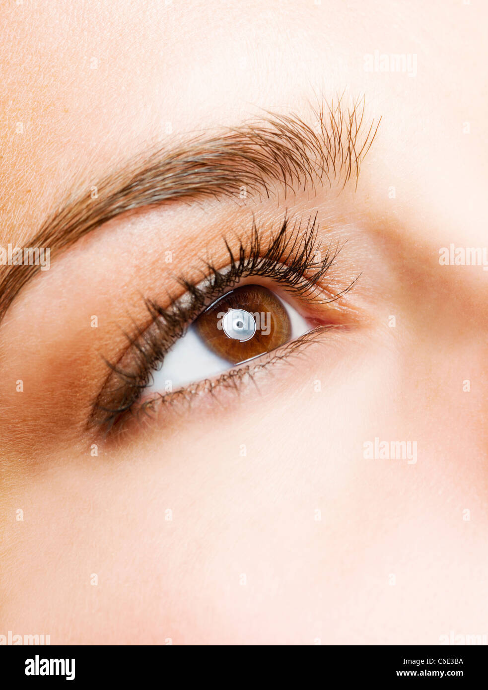 Studio shot of young woman, close-up of eye Stock Photo - Alamy