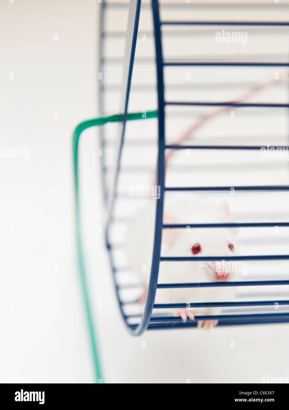 Spinning wheel in motion hi-res stock photography and images - Alamy