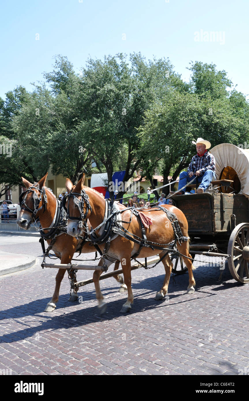 Parade, National Day of the American Cowboy, annual cowboy festival ...