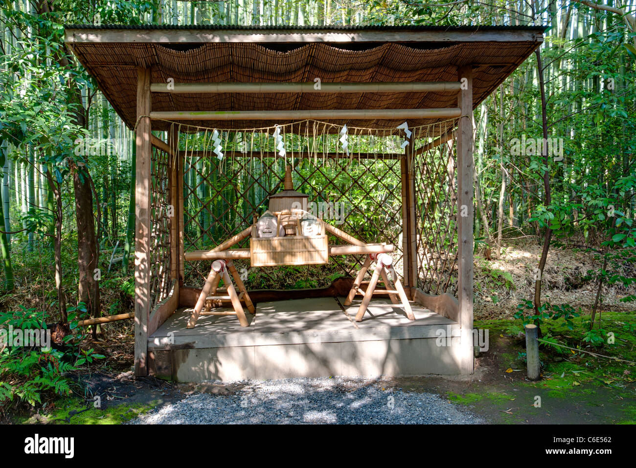 Small Bamboo Forest High Resolution Stock Photography and Images - Alamy