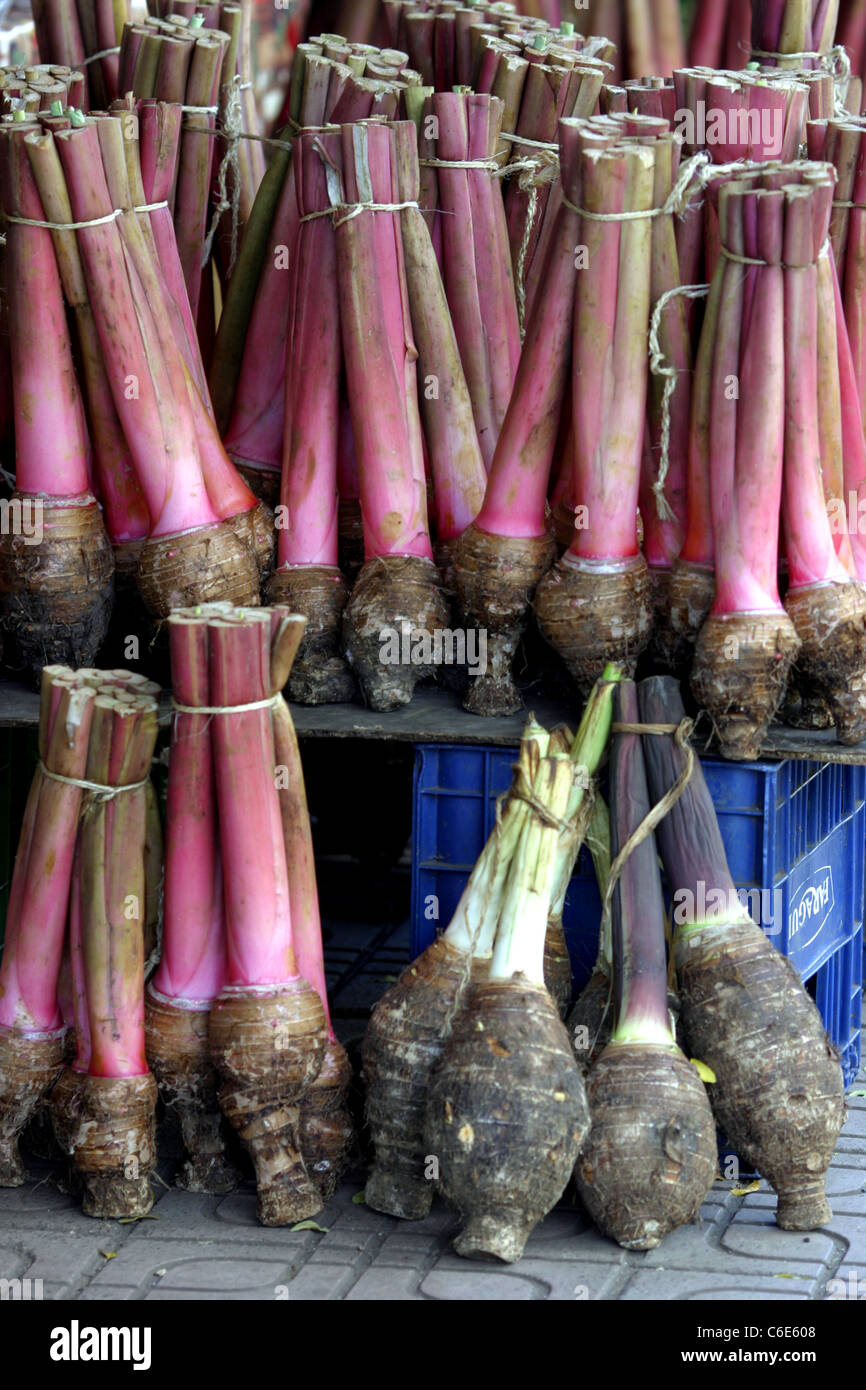 Taro for sale at market Stock Photo - Alamy