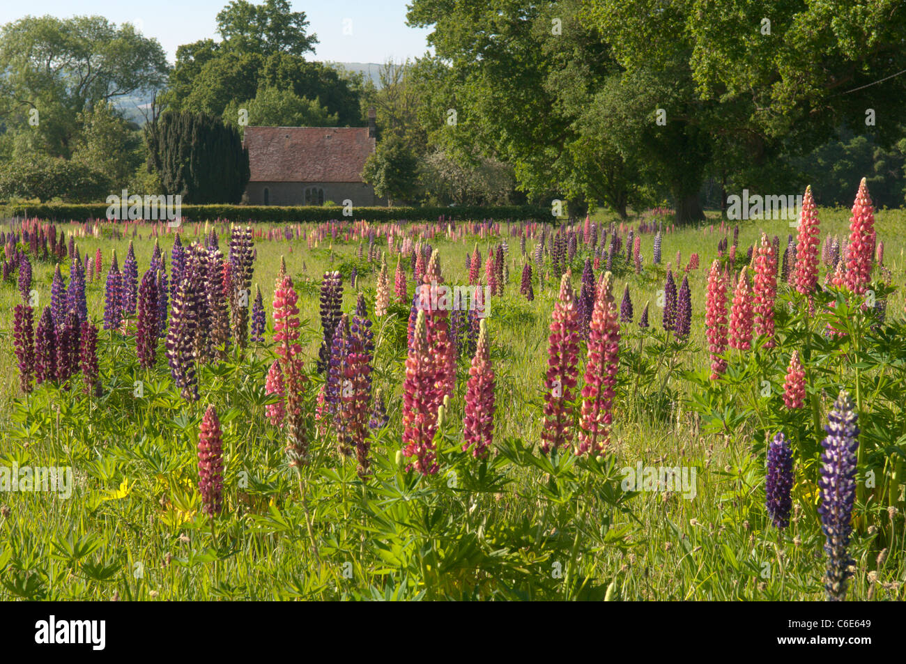 Terwick church hi-res stock photography and images - Alamy