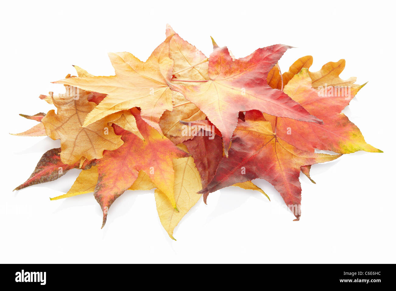 Yellow fall leaves copy Cut Out Stock Images & Pictures - Alamy