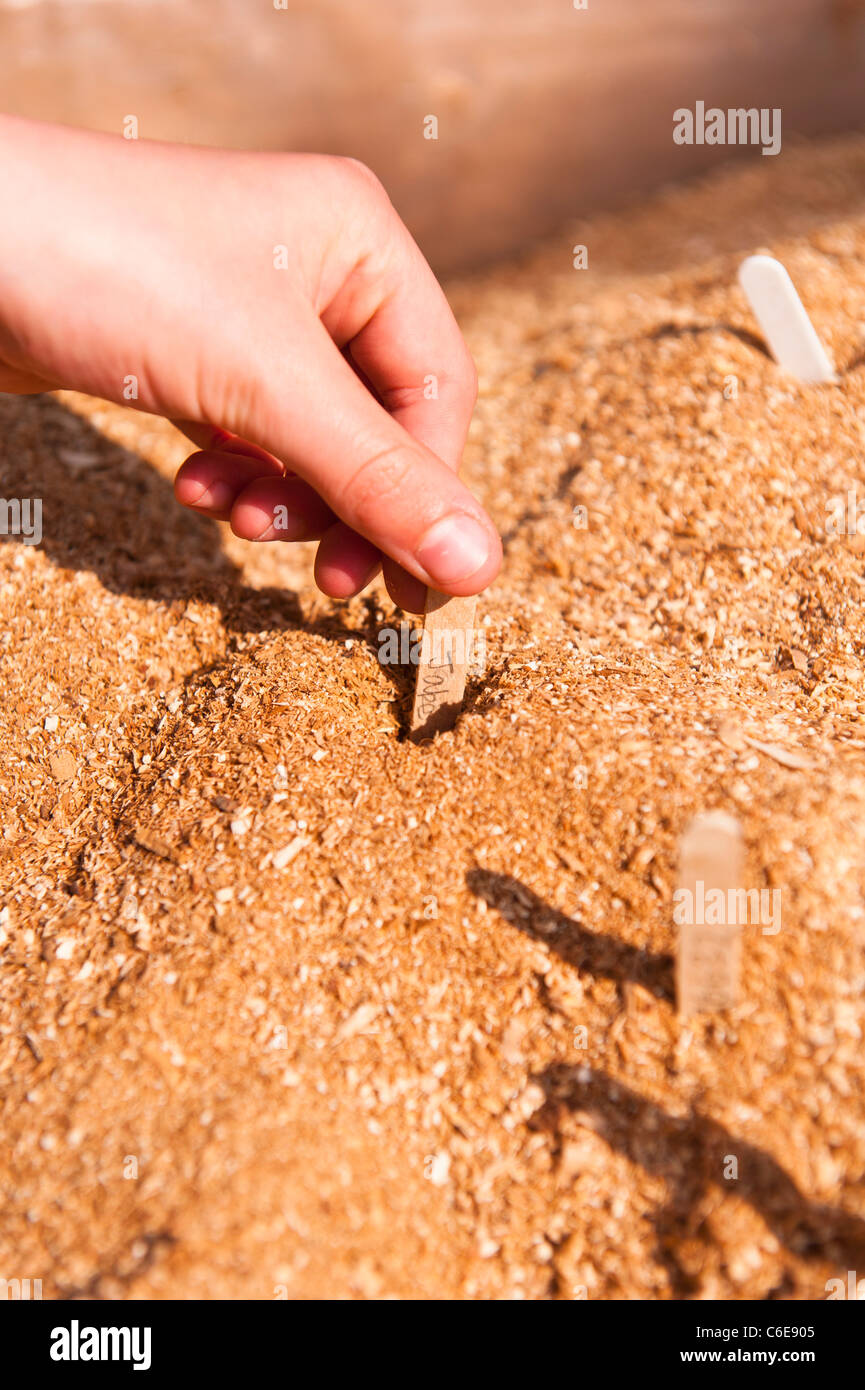 Treasure hunt children hi-res stock photography and images - Alamy