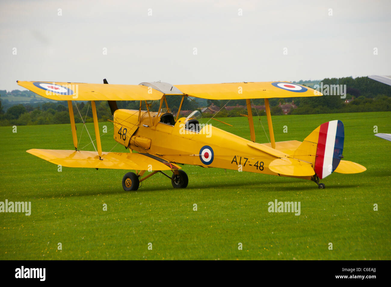 Australian Tiger Moth High Resolution Stock Photography and Images - Alamy