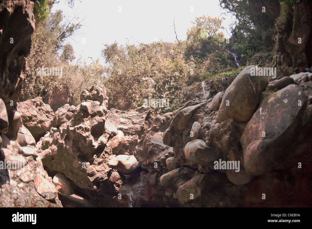 Cave forest hi-res stock photography and images - Alamy