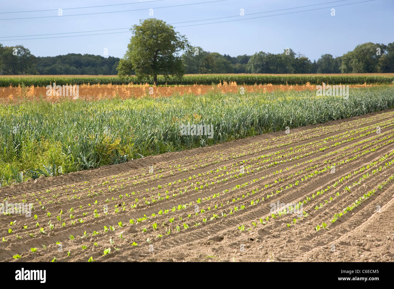 Noville hi-res stock photography and images - Alamy