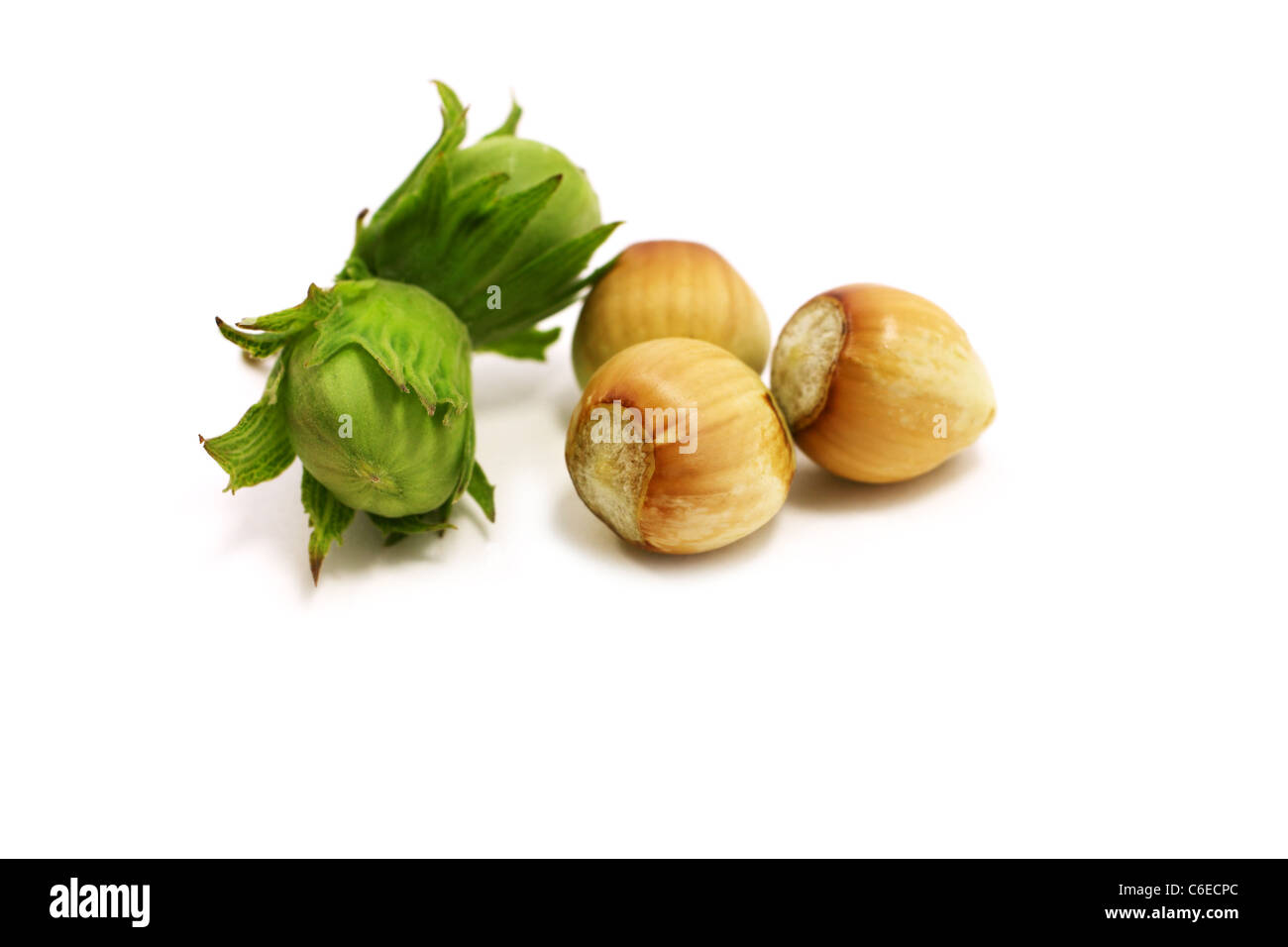 Hazelnuts on green Cut Out Stock Images & Pictures - Alamy