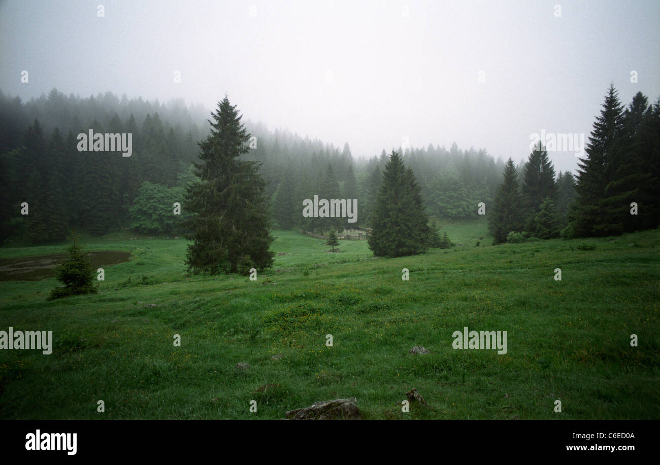 CAVALLETTO CEMETERY, THE ASIAGO PLATEAU BATTLEFIELD OF NORTHERN ITALY ...