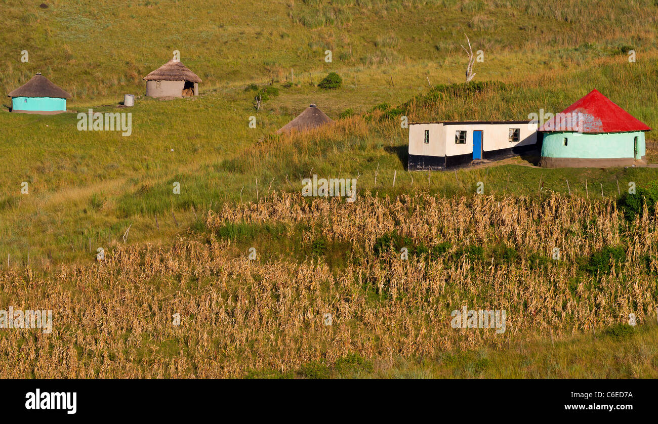 rural housing in the east of south Africa Stock Photo - Alamy