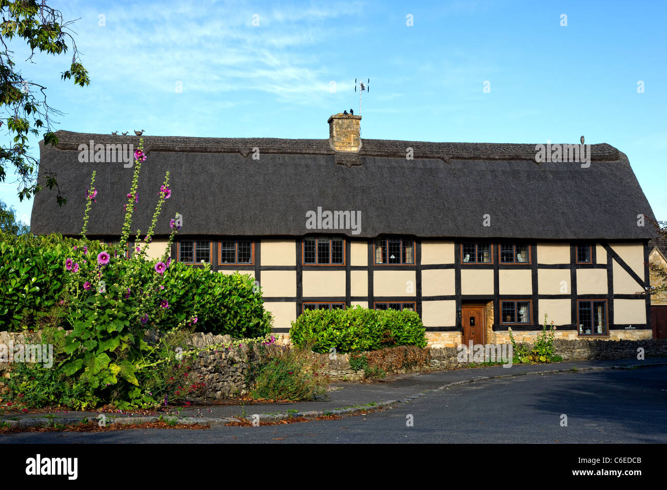 Half timbered thatched cottage hi-res stock photography and images - Alamy
