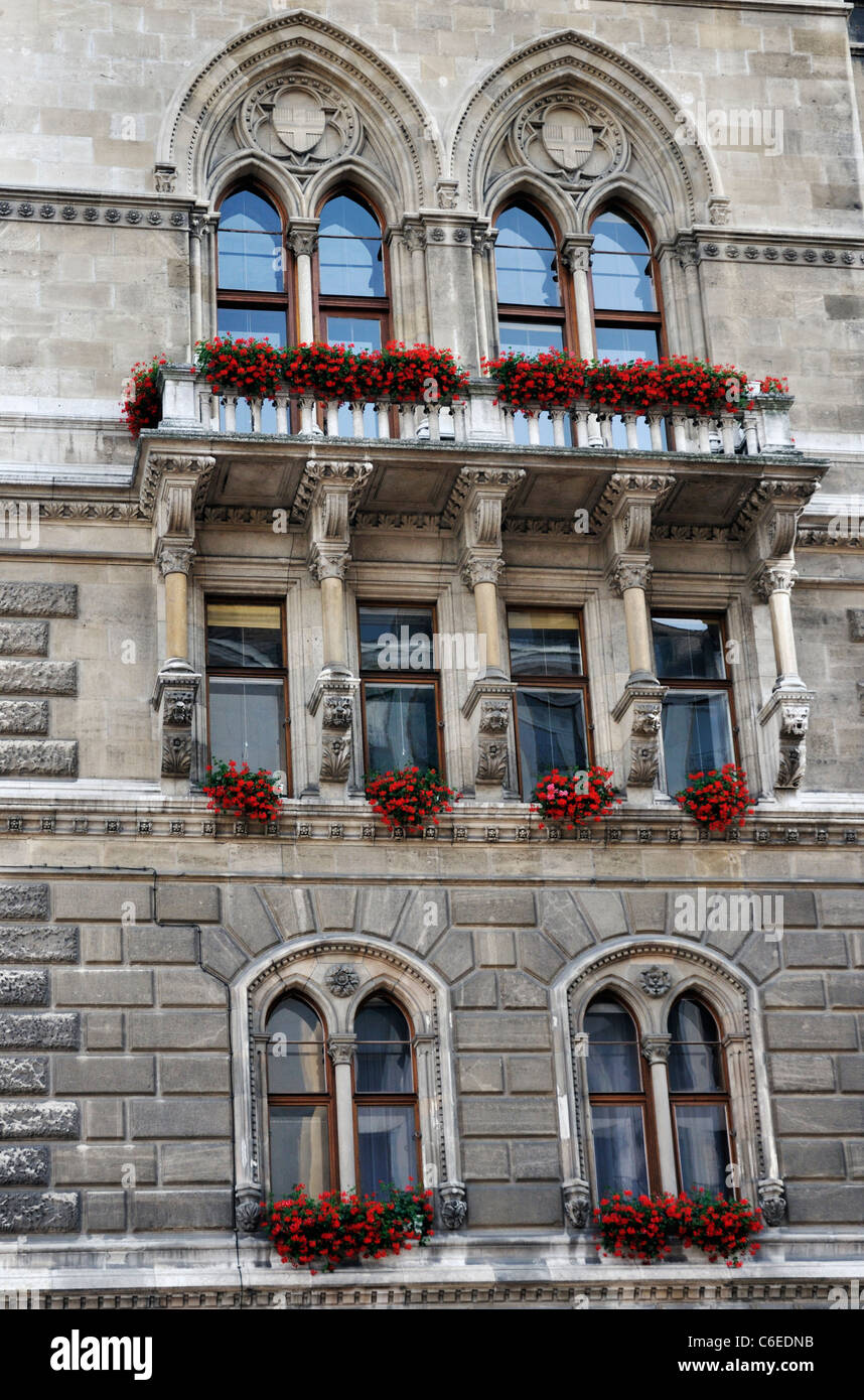 Flower boxes with red geraniums on the facade of City Hall, Vienna ...