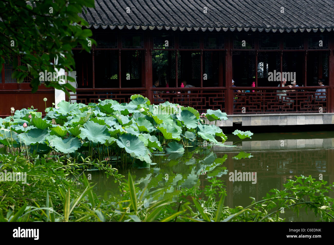 Chinese tea pavilion hi-res stock photography and images - Alamy