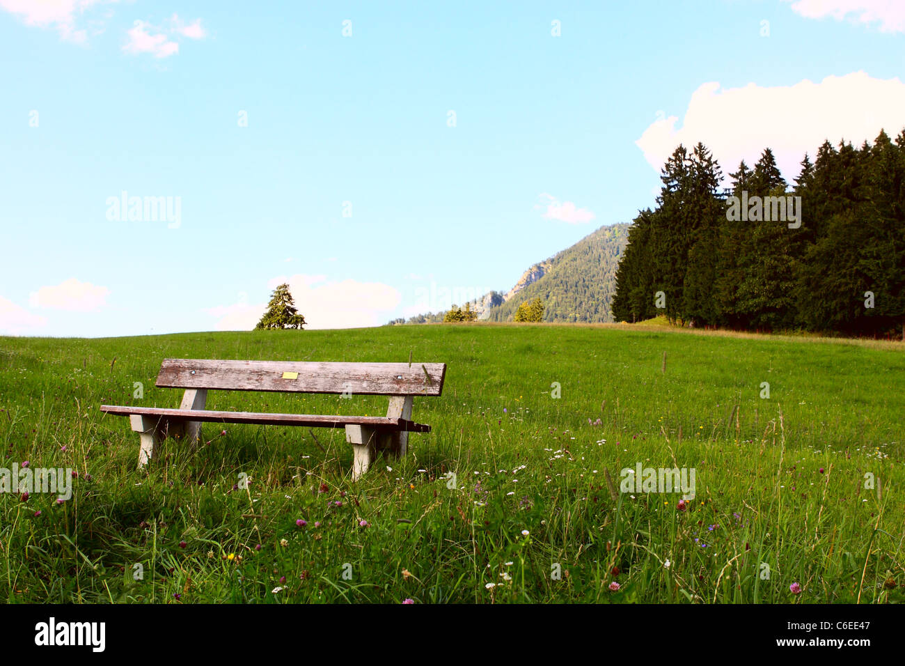 old bench in the meadow Stock Photo - Alamy
