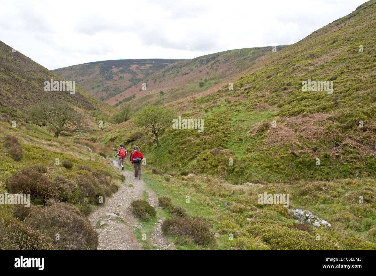 Walking along Ashes Hollow, on of the little valleys running down off ...