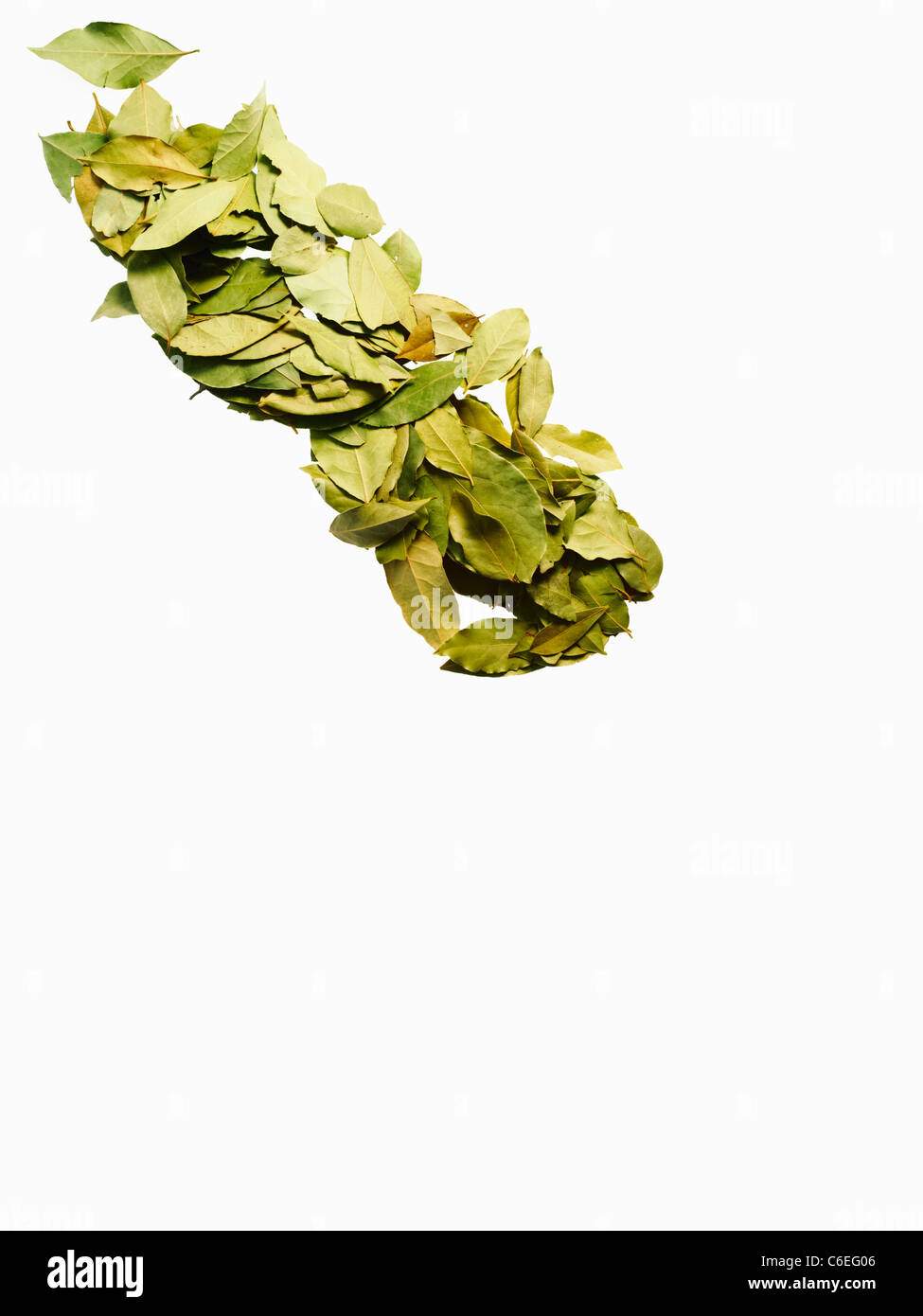 Shot bay Cut Out Stock Images & Pictures - Alamy