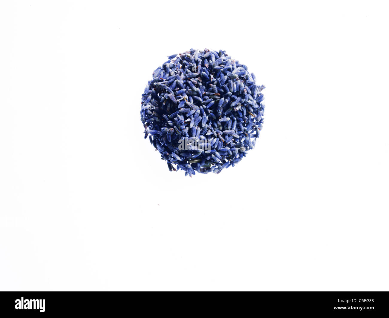 Studio shot of Pile of Lavender on white background Stock Photo - Alamy