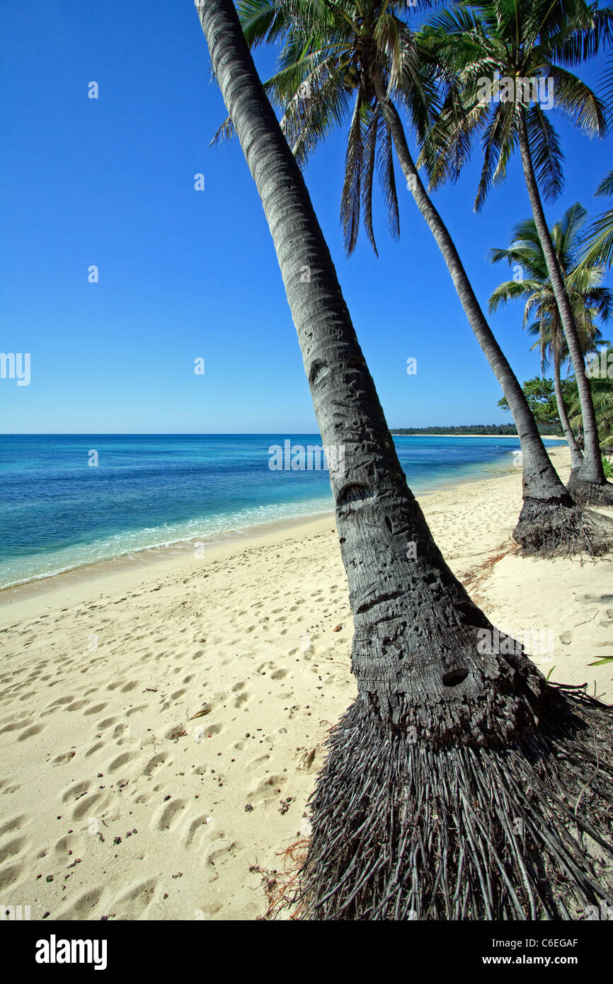 Beautiful sun drenched white sand beach in the Philippines Stock Photo ...