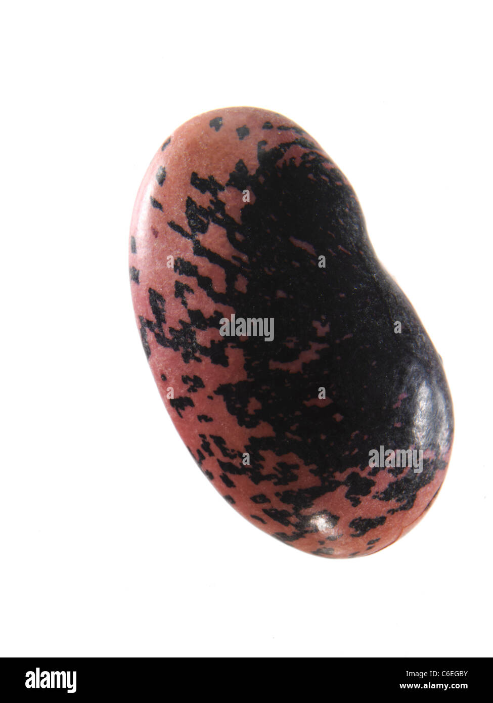 Bean seed growth hi-res stock photography and images - Alamy