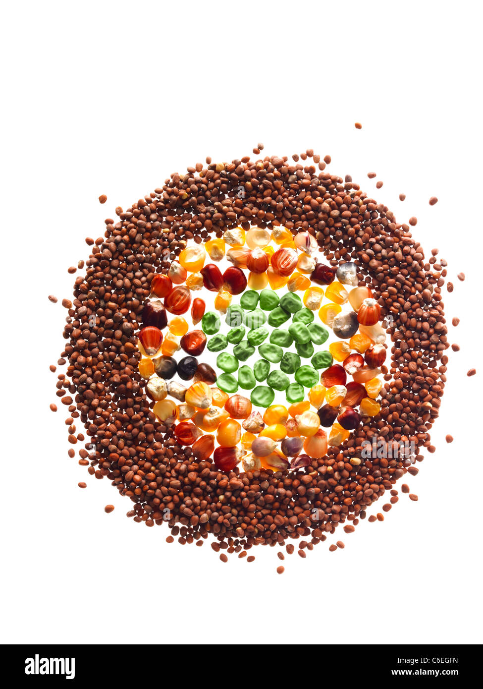 Studio shot of Mixed Seeds on white background Stock Photo - Alamy