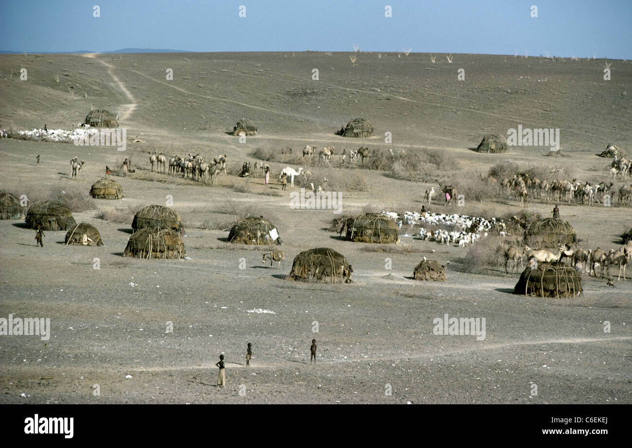 Rendille hi-res stock photography and images - Alamy