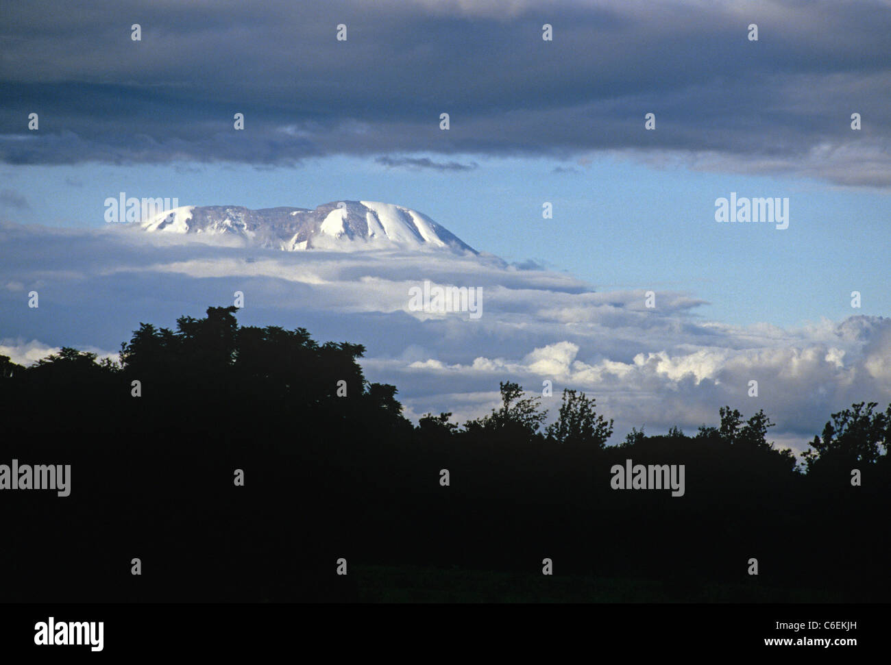 snow capped Mount Kilimanjaro rises above the clouds from the south ...