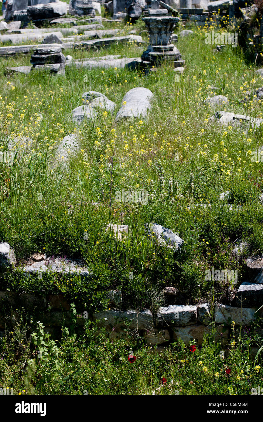 Aphrodisias,Temple of Aphrodite,Tetrapylon,Ancient Bath,Stadium ...