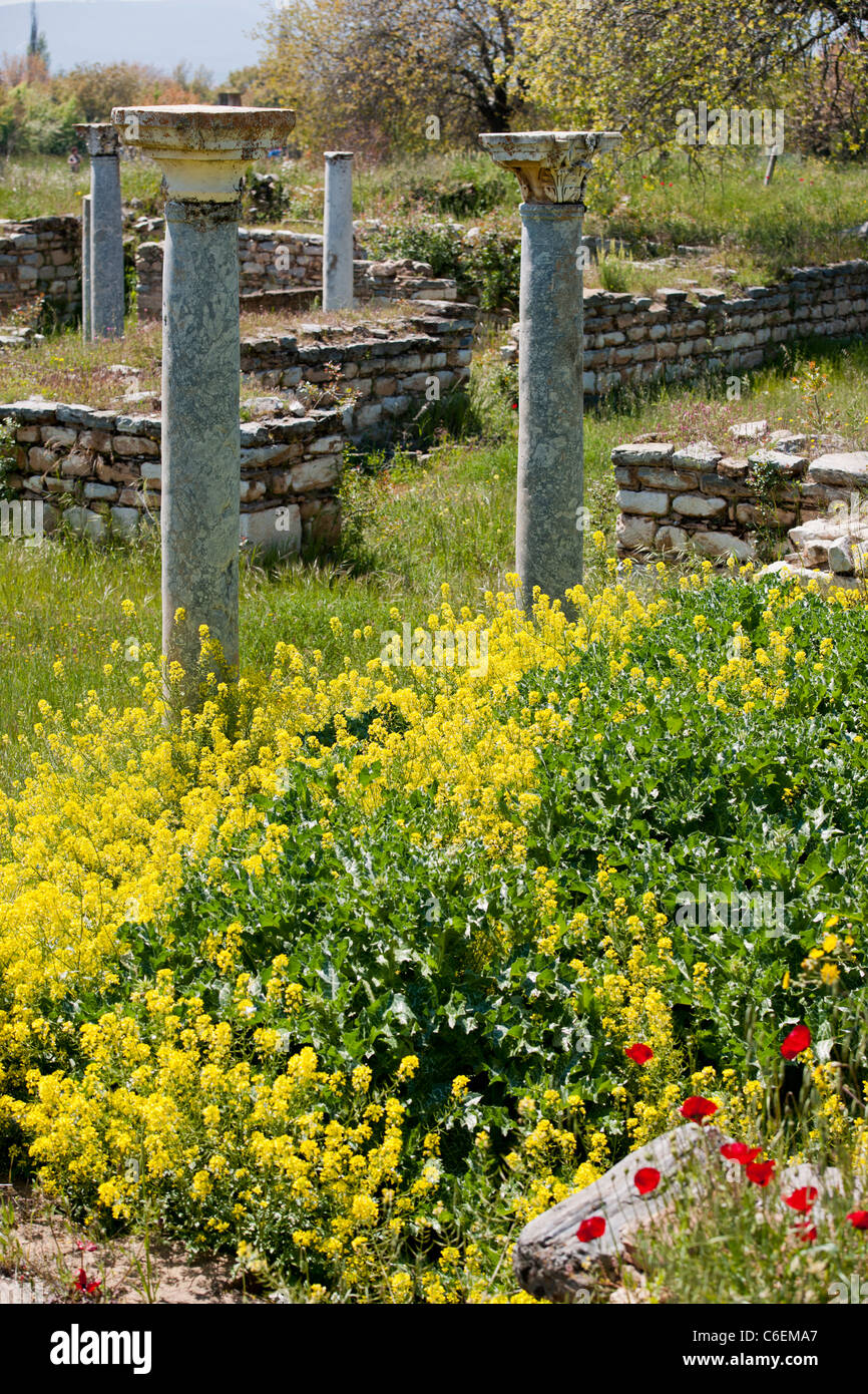 Aphrodisias,Temple of Aphrodite,Tetrapylon,Ancient Bath,Stadium ...