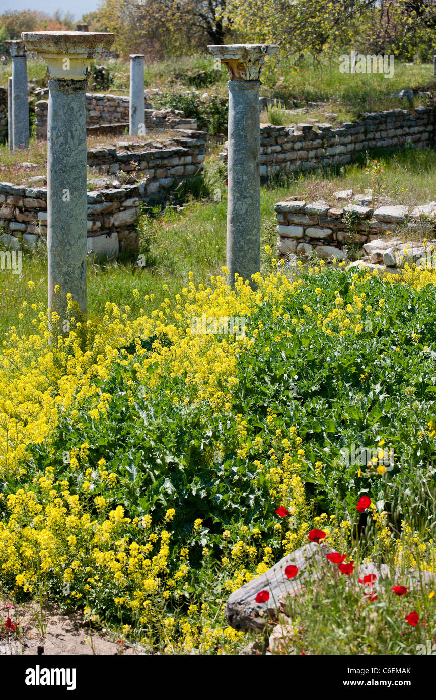 Aphrodisias,Temple of Aphrodite,Tetrapylon,Ancient Bath,Stadium ...