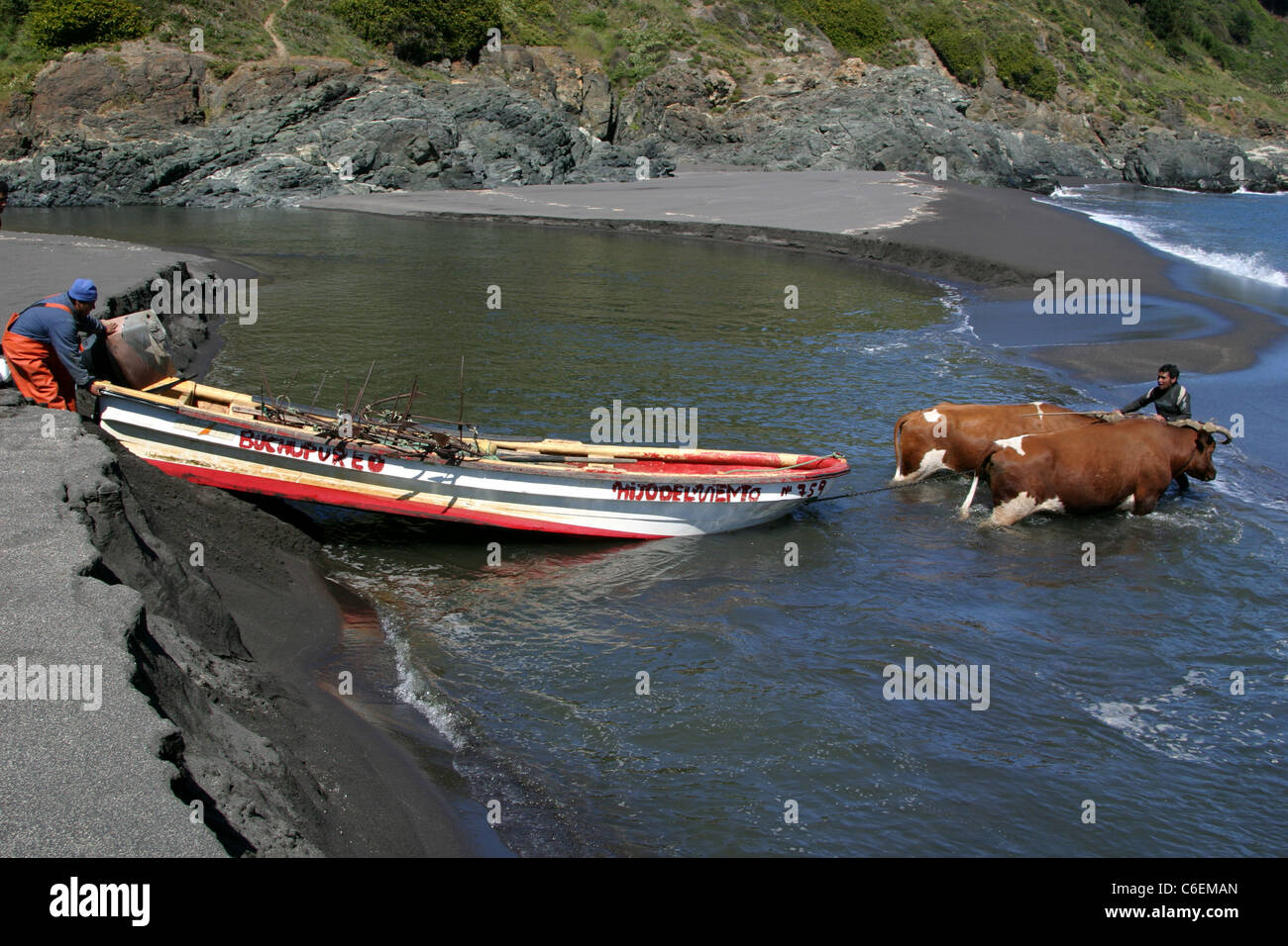 Oxen pulling boat hi-res stock photography and images - Alamy