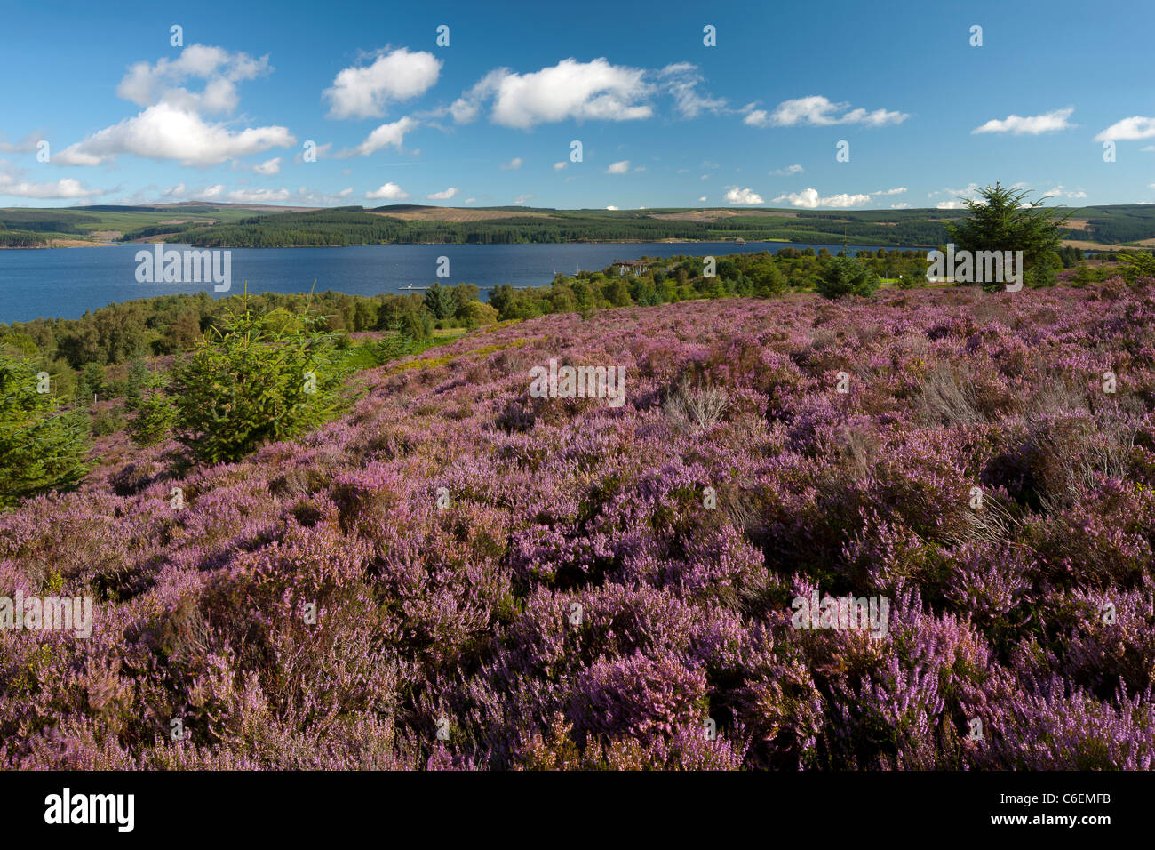 Kielder water and forest park hi-res stock photography and images - Alamy