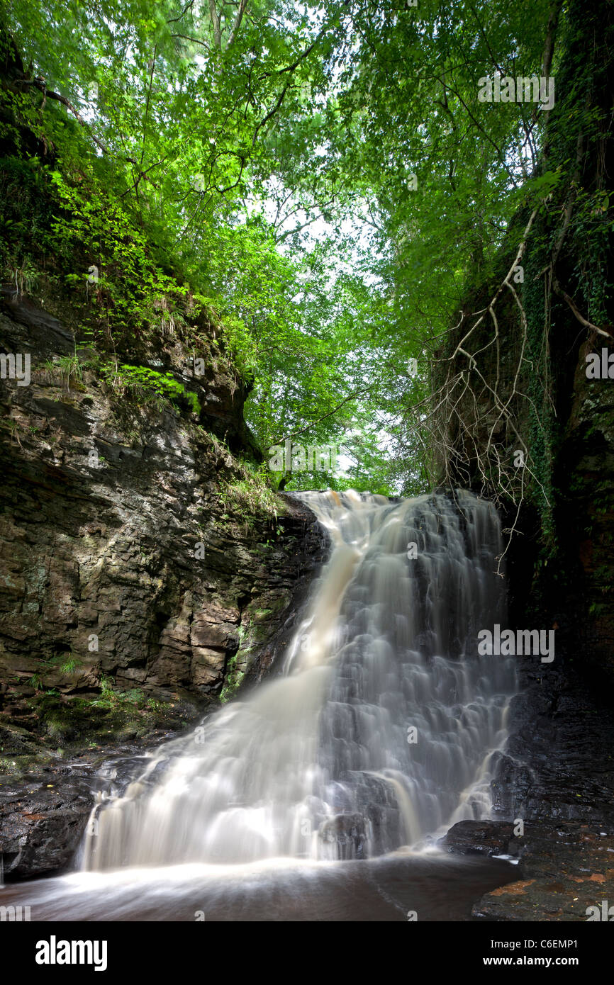 Gushing water over Hareshaw Linn Waterfall, near Bellingham ...
