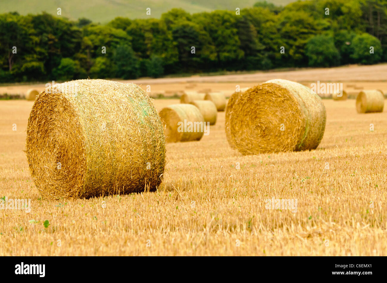 Large bales hi-res stock photography and images - Alamy