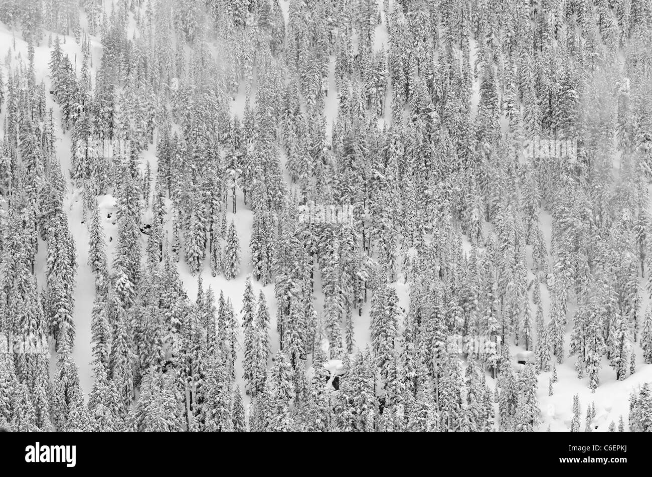 Ansel adams wilderness landscapes hi-res stock photography and images ...