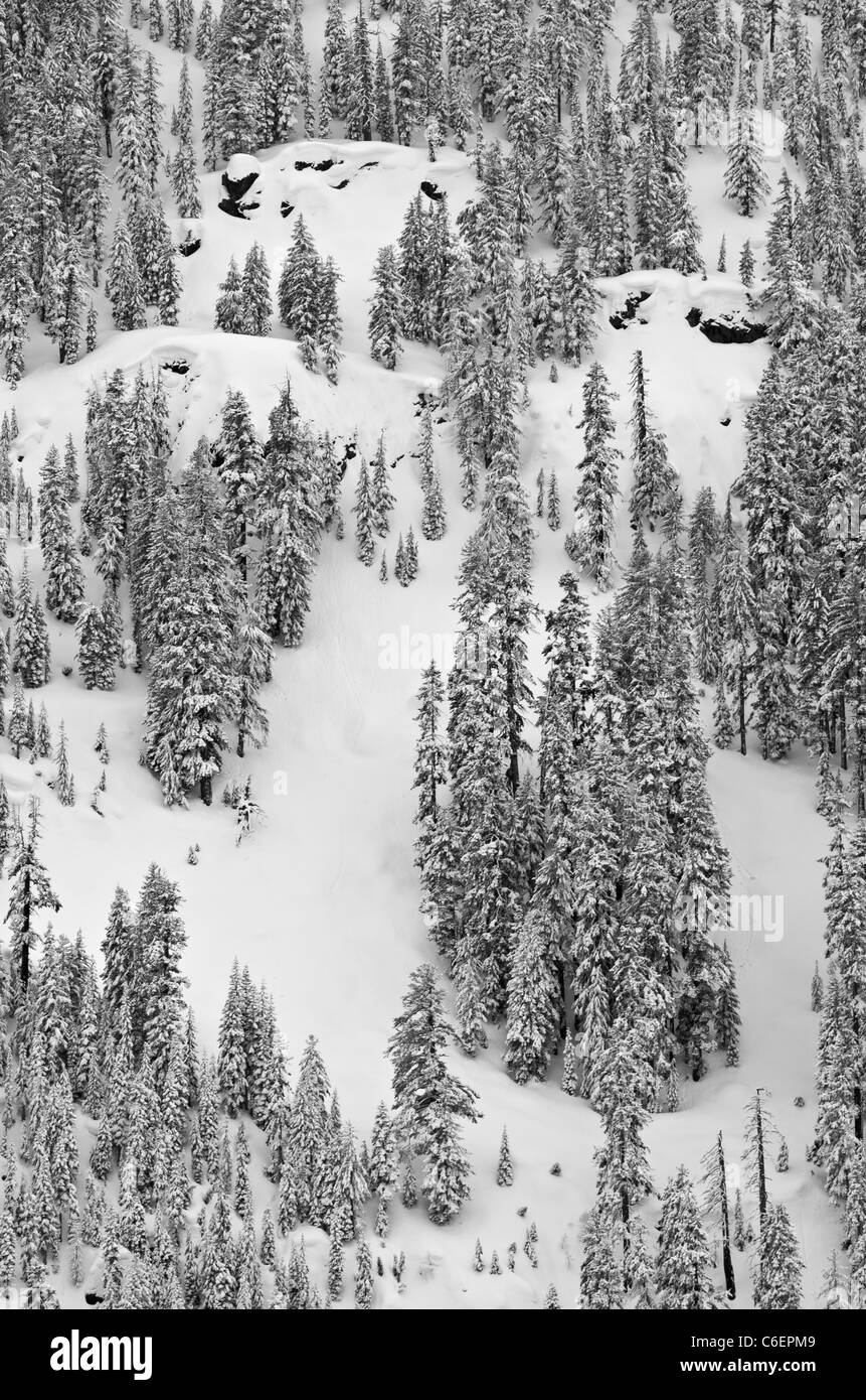 Ansel adams landscapes california hi-res stock photography and images ...