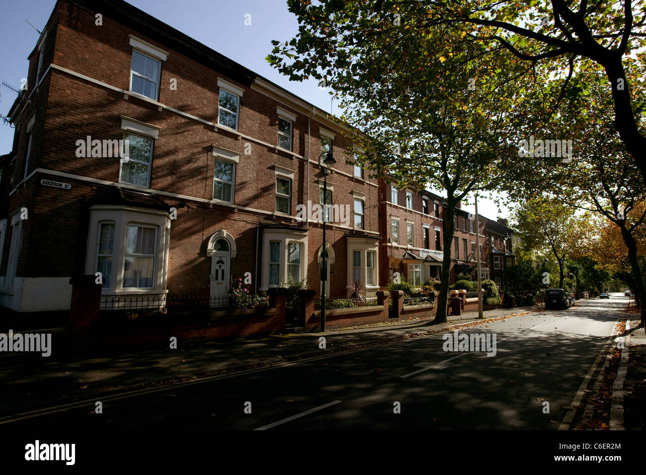 Leafy sun lit red brick terrace housing Stock Photo - Alamy