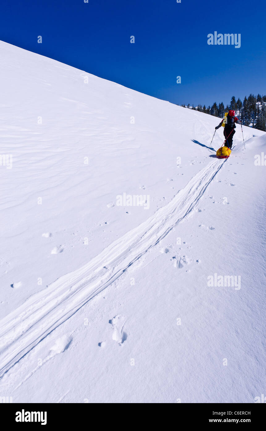 Backcountry skier pulling a sled hi-res stock photography and images ...