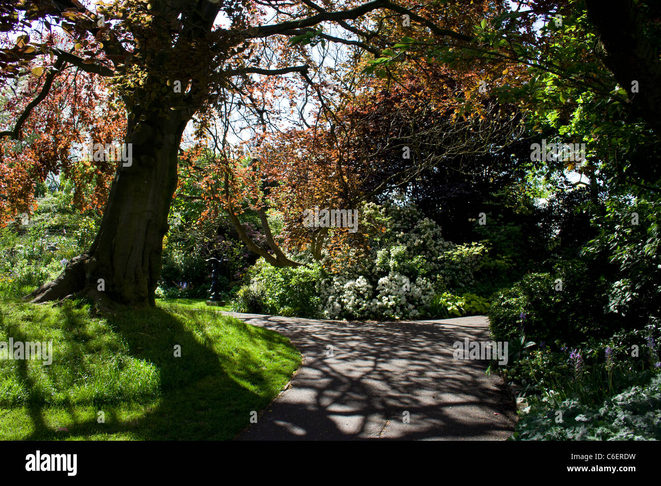 Regents Park, London Stock Photo - Alamy