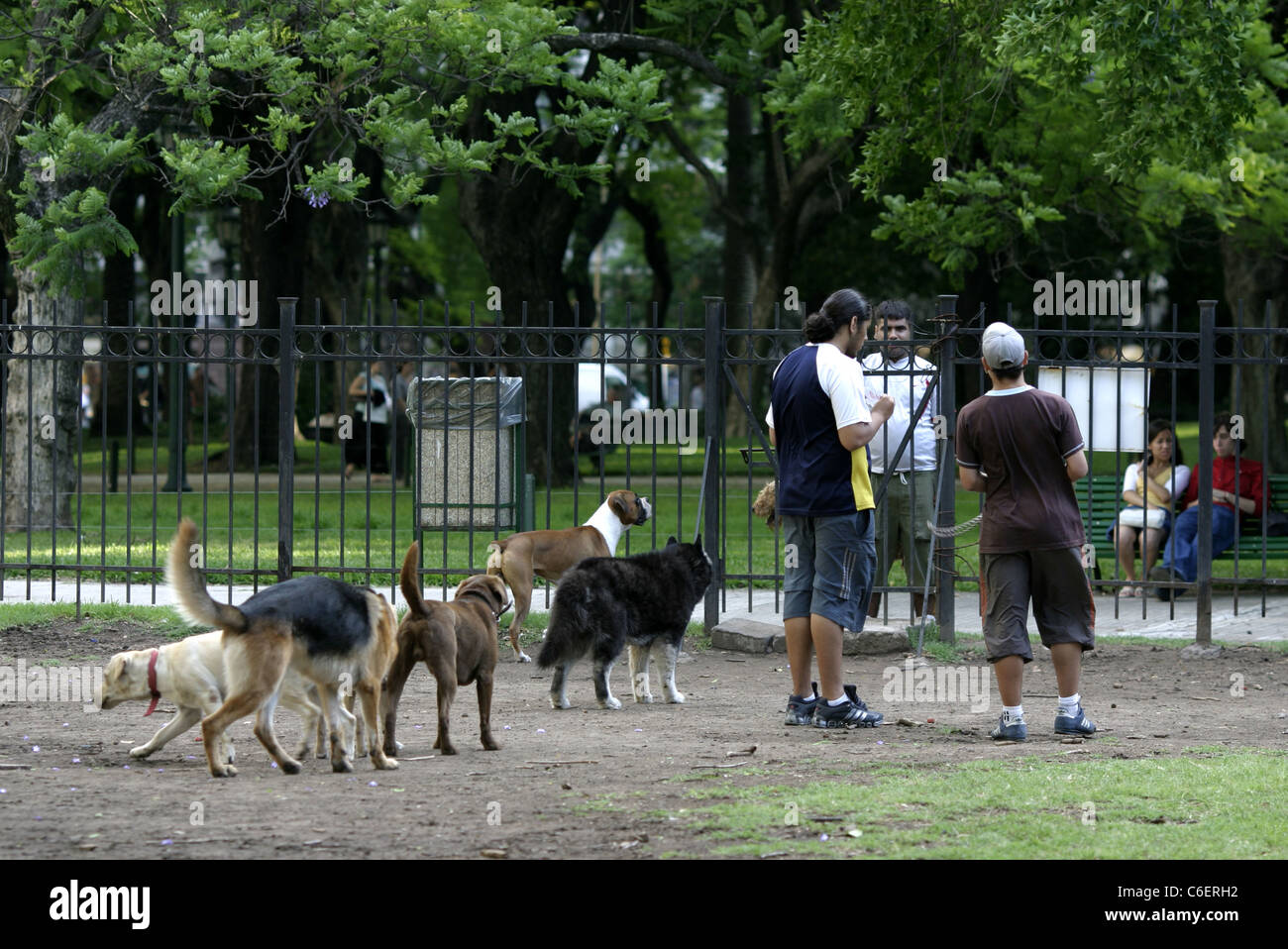 Dog minders hi-res stock photography and images - Alamy