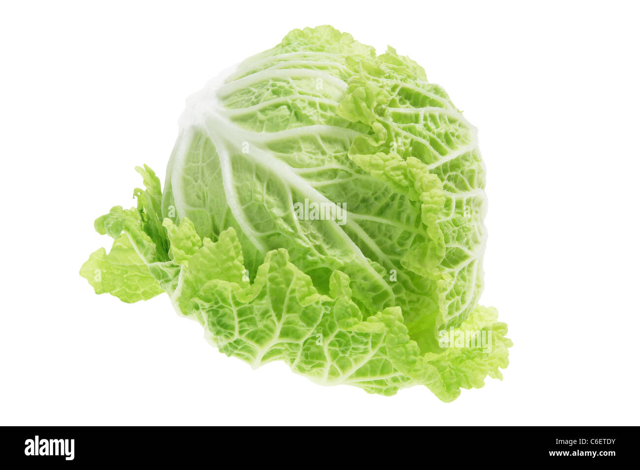 Chinese cabbage cutout hi-res stock photography and images - Alamy