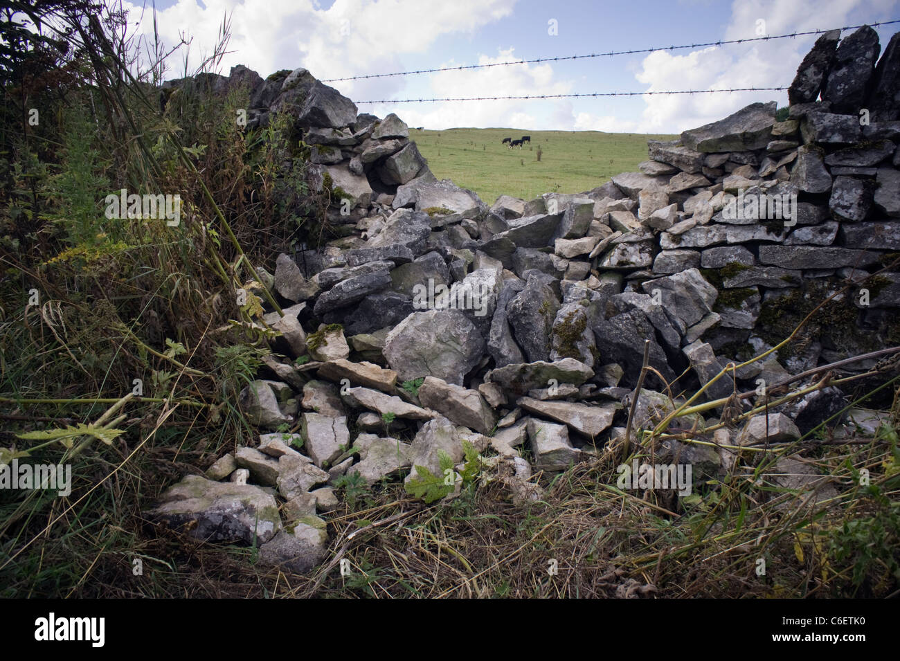 Collapsed drystone wall Stock Photo - Alamy